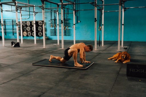 pliability // 14 Best Eccentric Quad Exercises for Stronger, Healthier ...